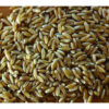 Wheat; Einkorn – Great American Seed Up