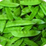 An Essential 25 Varieties – Great American Seed Up