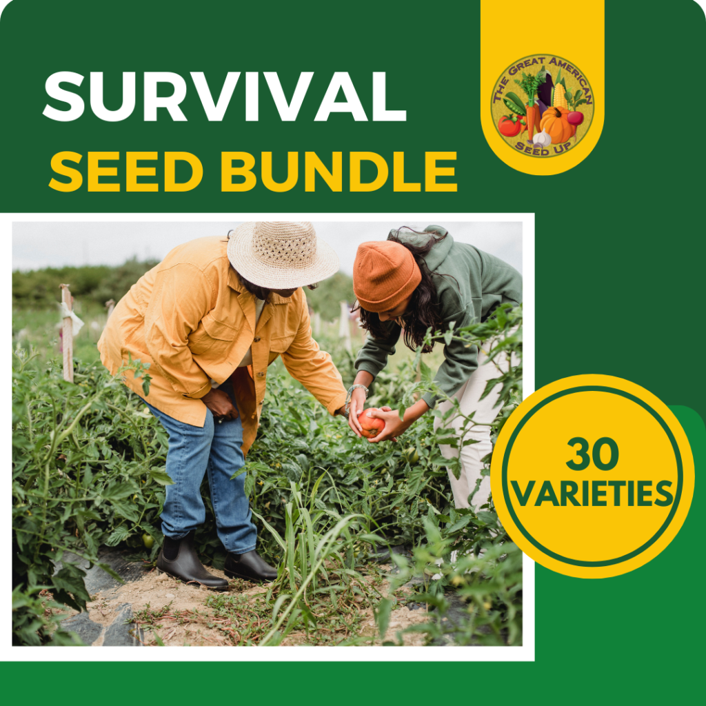 Seed Up In a Box – BUNDLES – Great American Seed Up